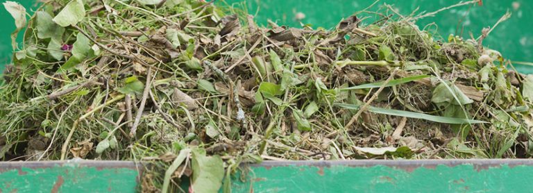 Location de bennes déchets verts 12m3 en Ile-de-France : quels sont les ...